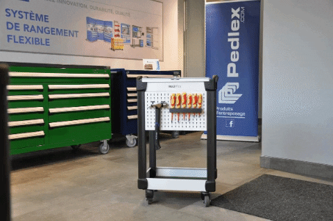 Your perfect everyday companion on wheels?